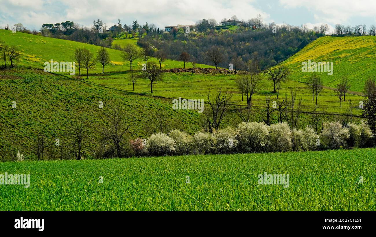 Landscapes and colors of the spring flowering of the Emilia-Romagna ...