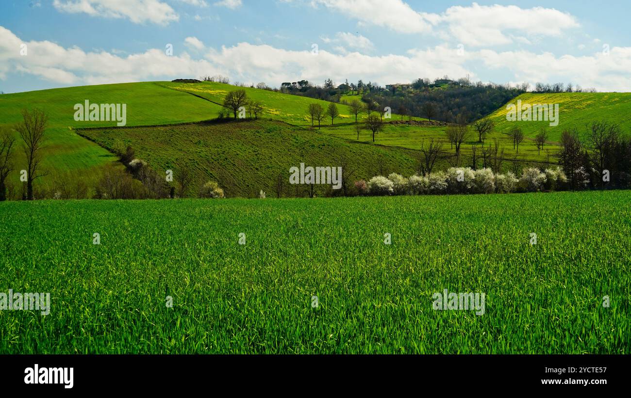 Landscapes and colors of the spring flowering of the Emilia-Romagna ...