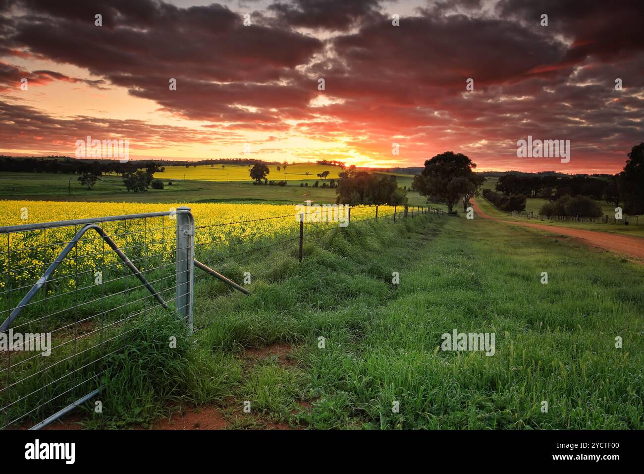 Outback farm life, australia hi-res stock photography and images - Alamy