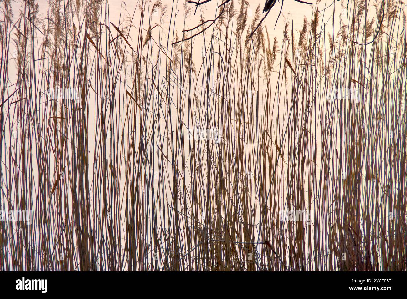 Gescha tzte landschaft hi-res stock photography and images - Alamy