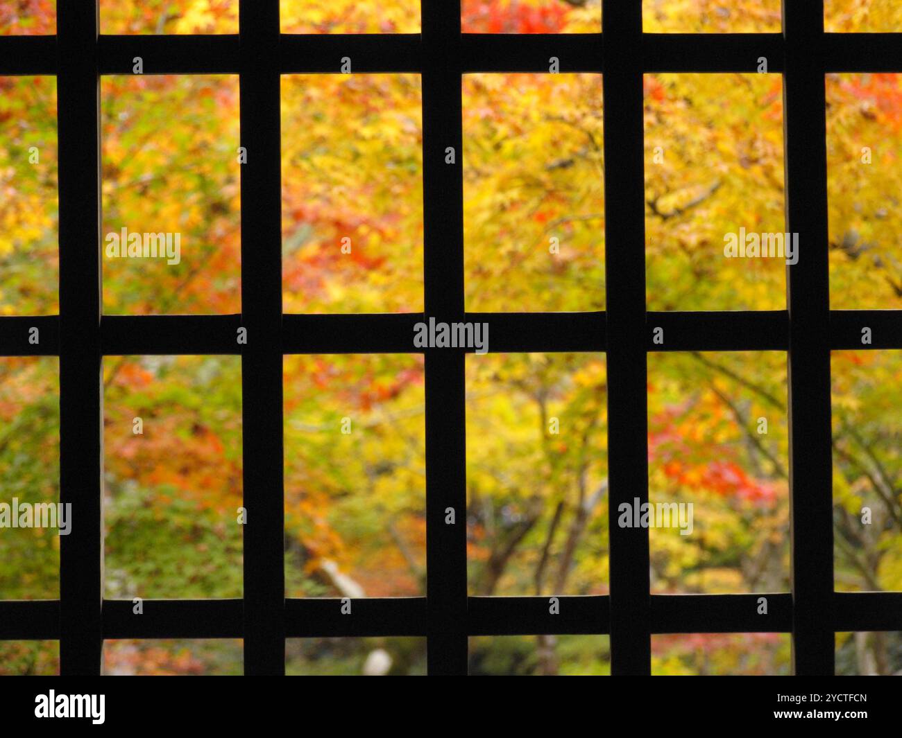 Japan lattice hi-res stock photography and images - Alamy