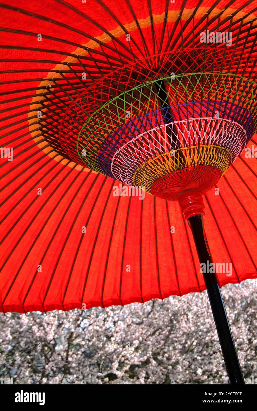 Wagasa and plum blossoms Stock Photo - Alamy
