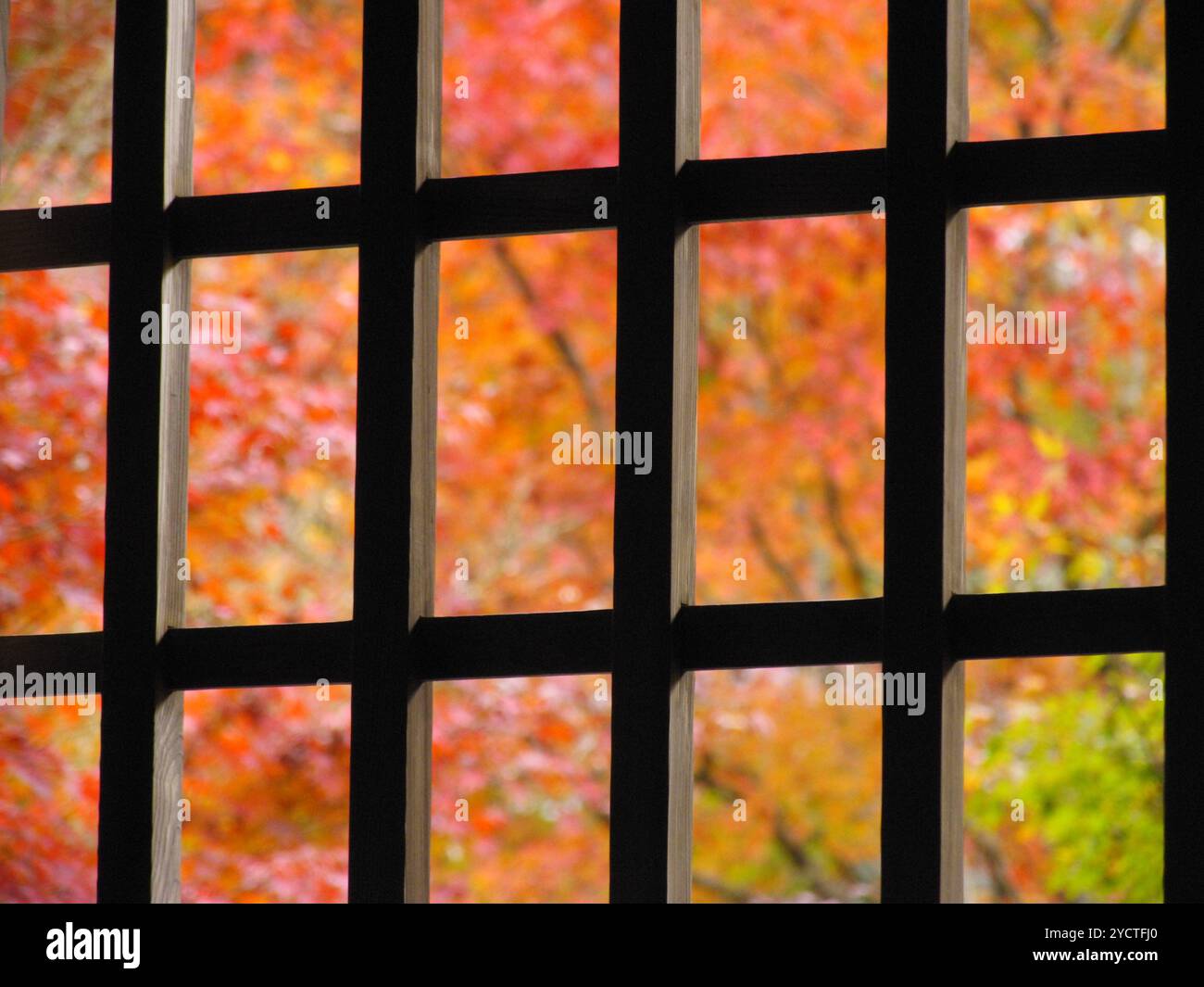 Lattice window and autumn leaves Stock Photo - Alamy
