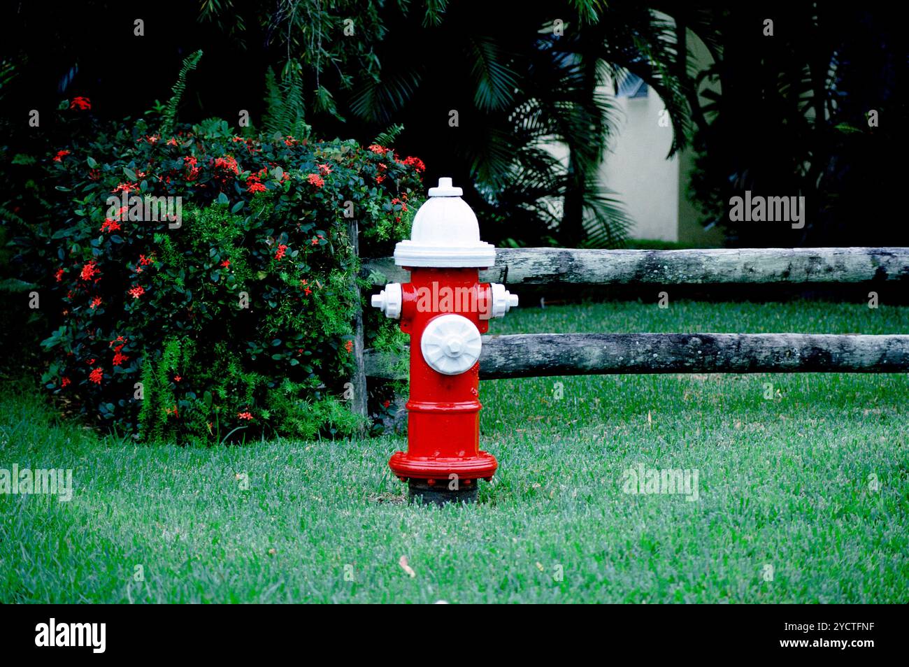 Florida fire hydrant Stock Photo - Alamy