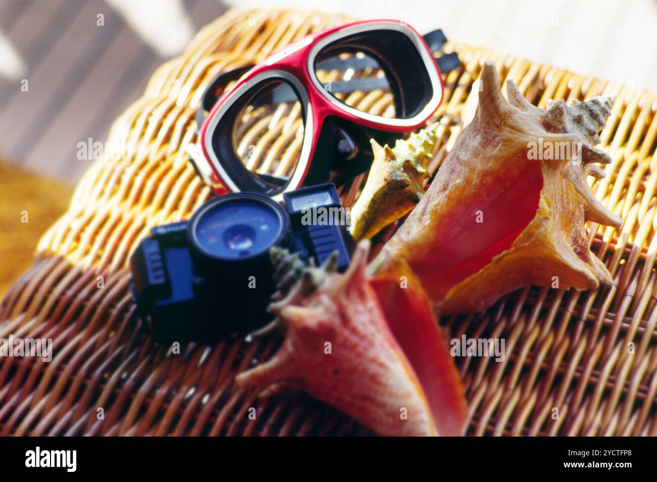 Underwater glasses and shells Stock Photo - Alamy