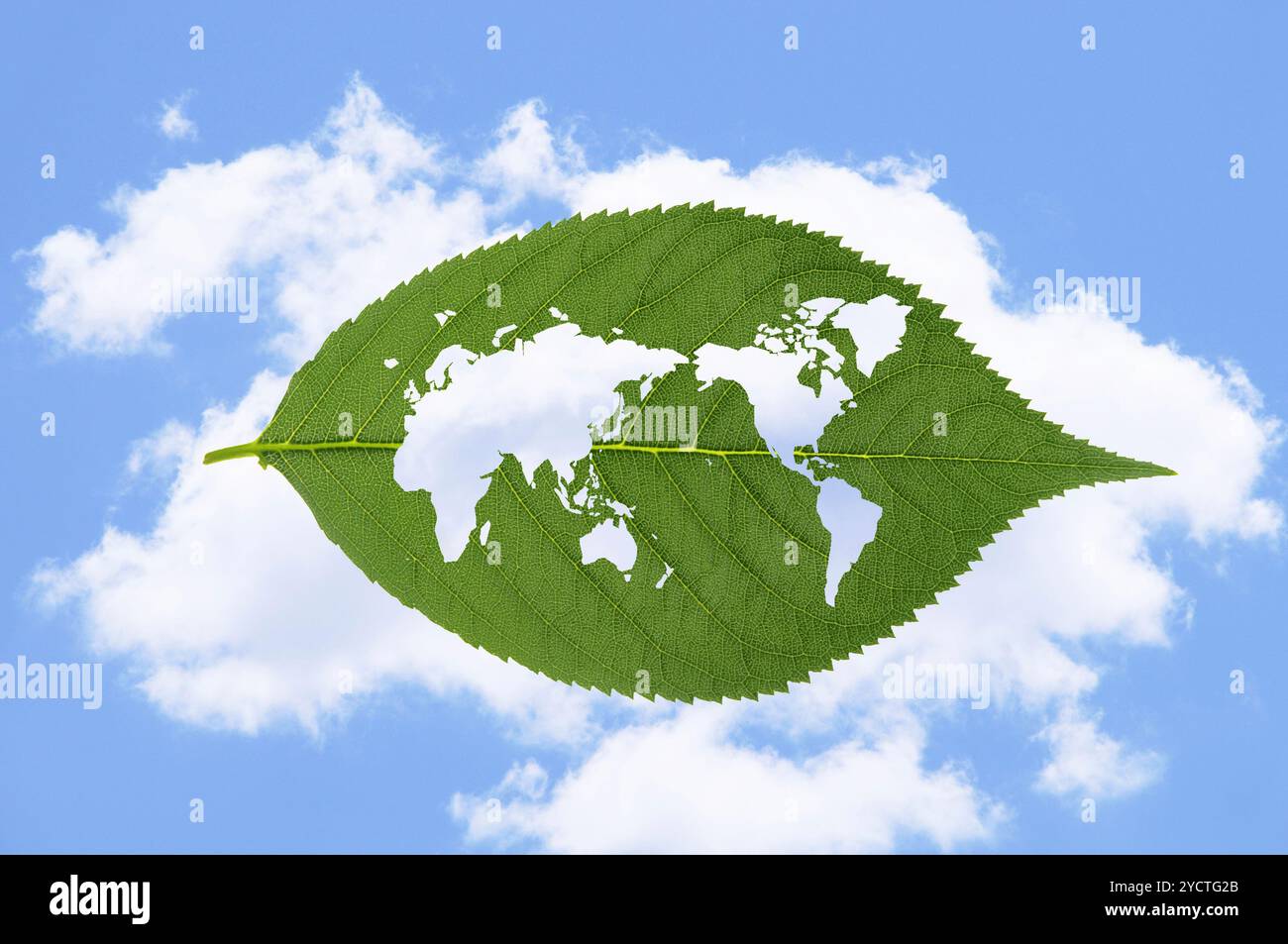 Map of the world on a leaf Stock Photo - Alamy