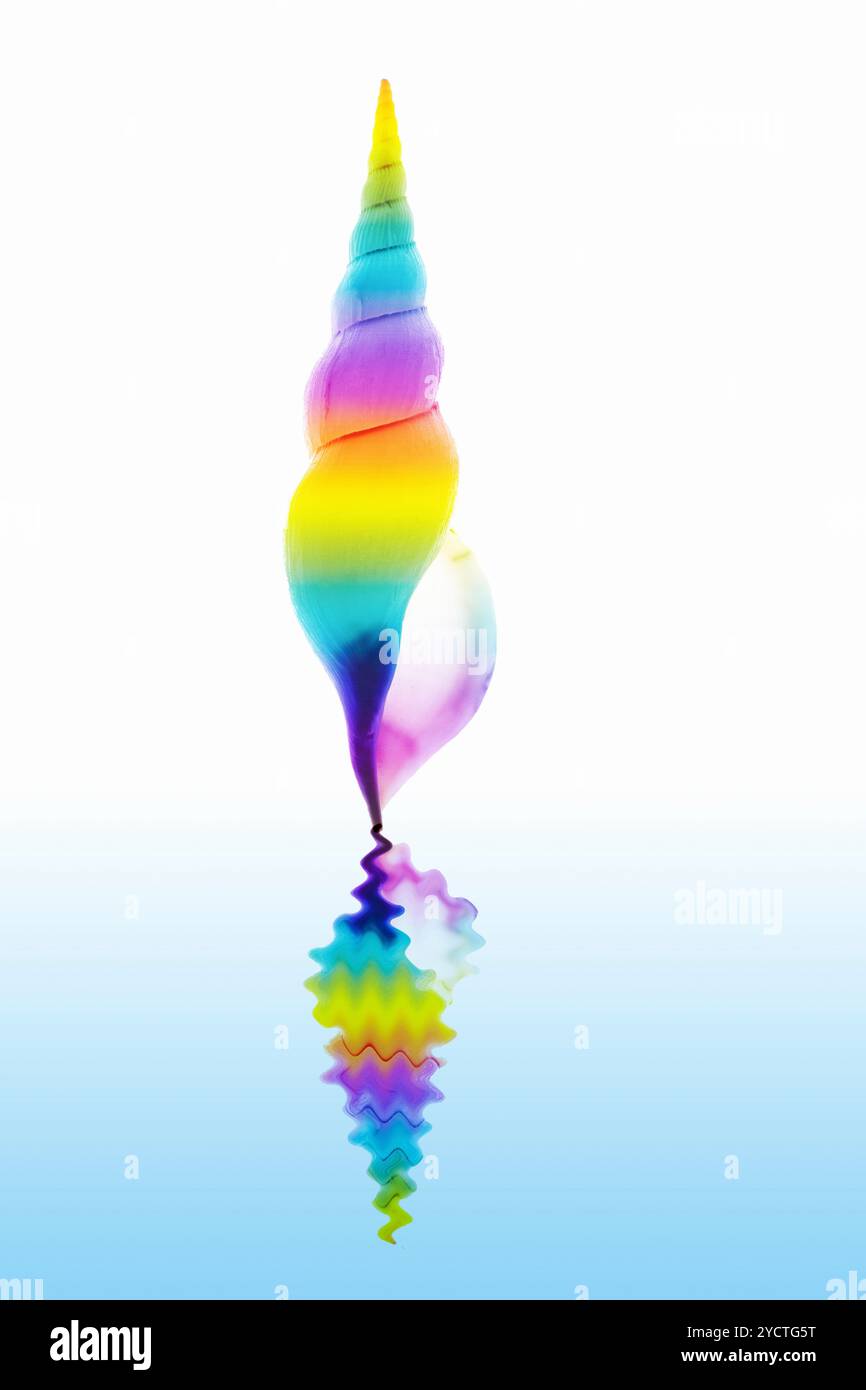 Iridescent shells hi-res stock photography and images - Alamy