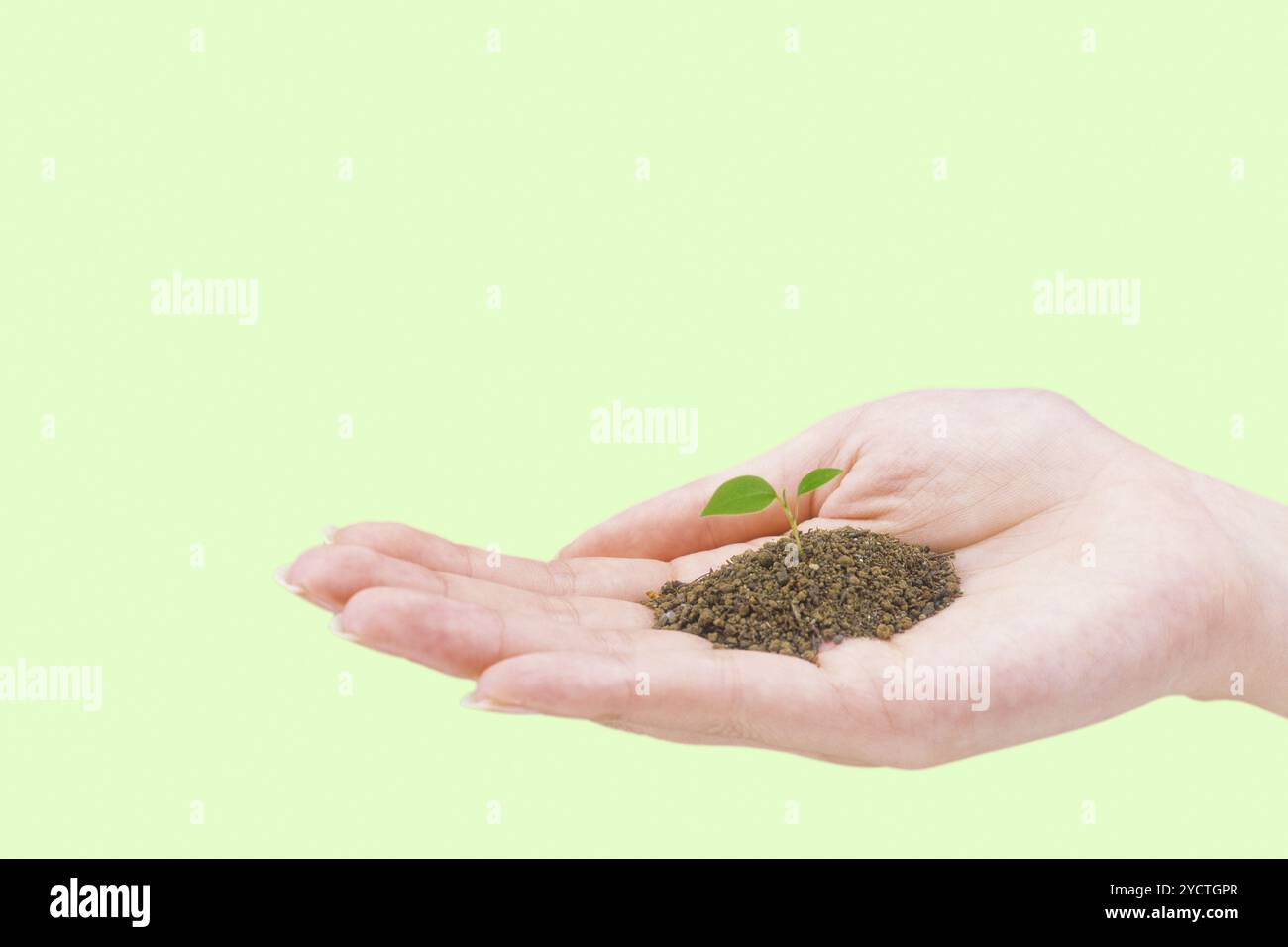 Hand and sprout hi-res stock photography and images - Alamy