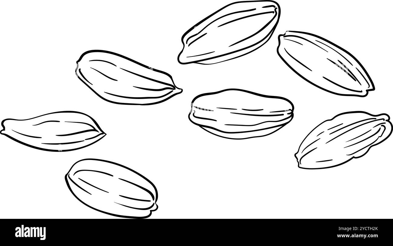 Carrot Seeds Isolated Outline Illustration Stock Vector Image & Art - Alamy