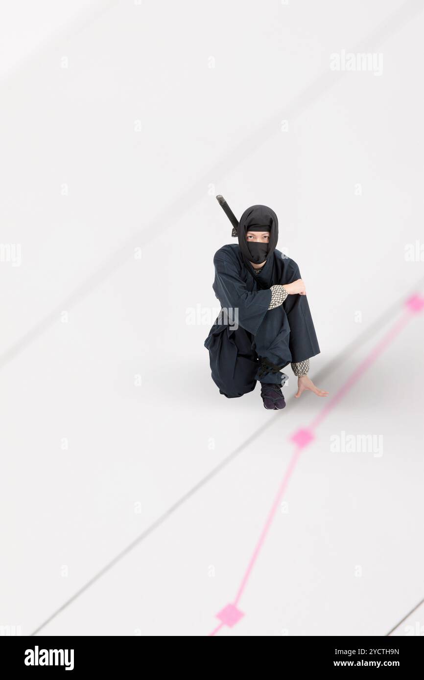 Ninja and graphs Stock Photo - Alamy