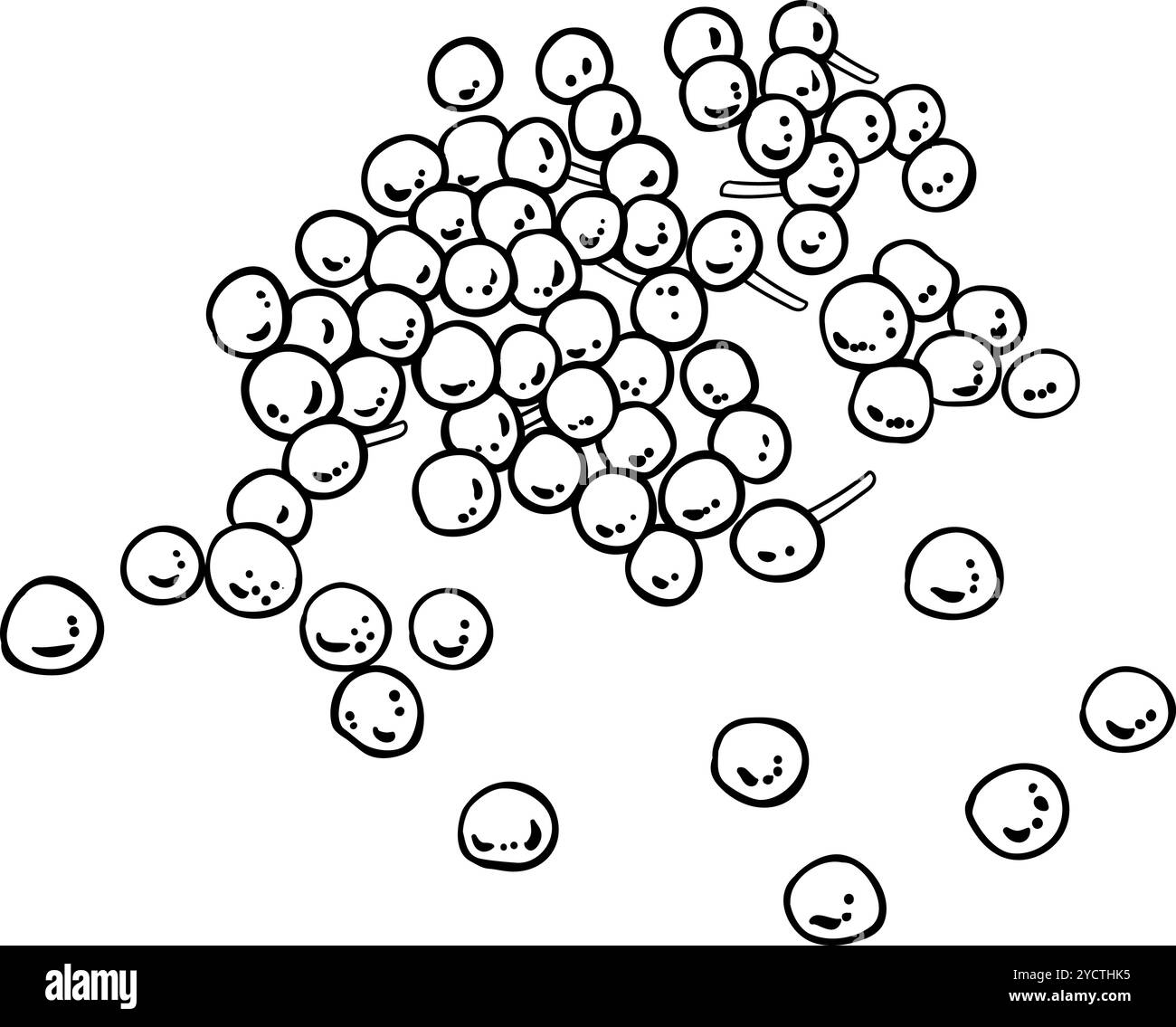 Crambe Seeds Isolated Outline Illustration Stock Vector Image & Art - Alamy