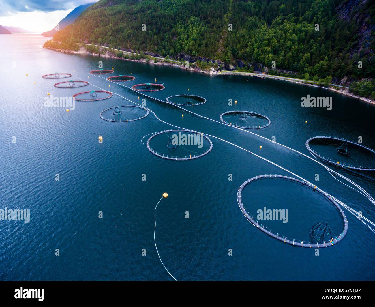 Farm salmon fishing Stock Photo - Alamy