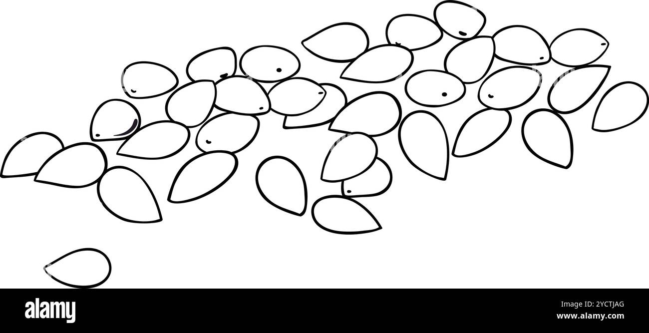 Sesame Seeds Isolated Outline Illustration Stock Vector Image & Art - Alamy
