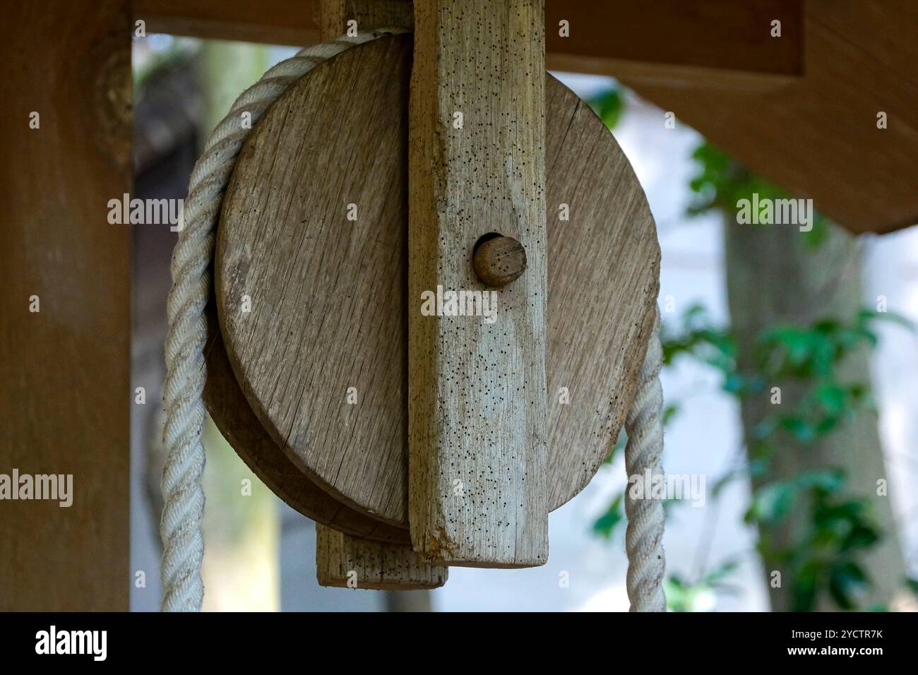 Wooden pulley of vine Stock Photo - Alamy