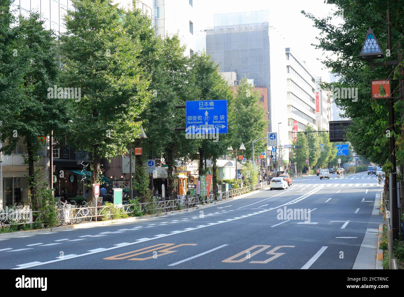 Hongo hongo hi-res stock photography and images - Alamy