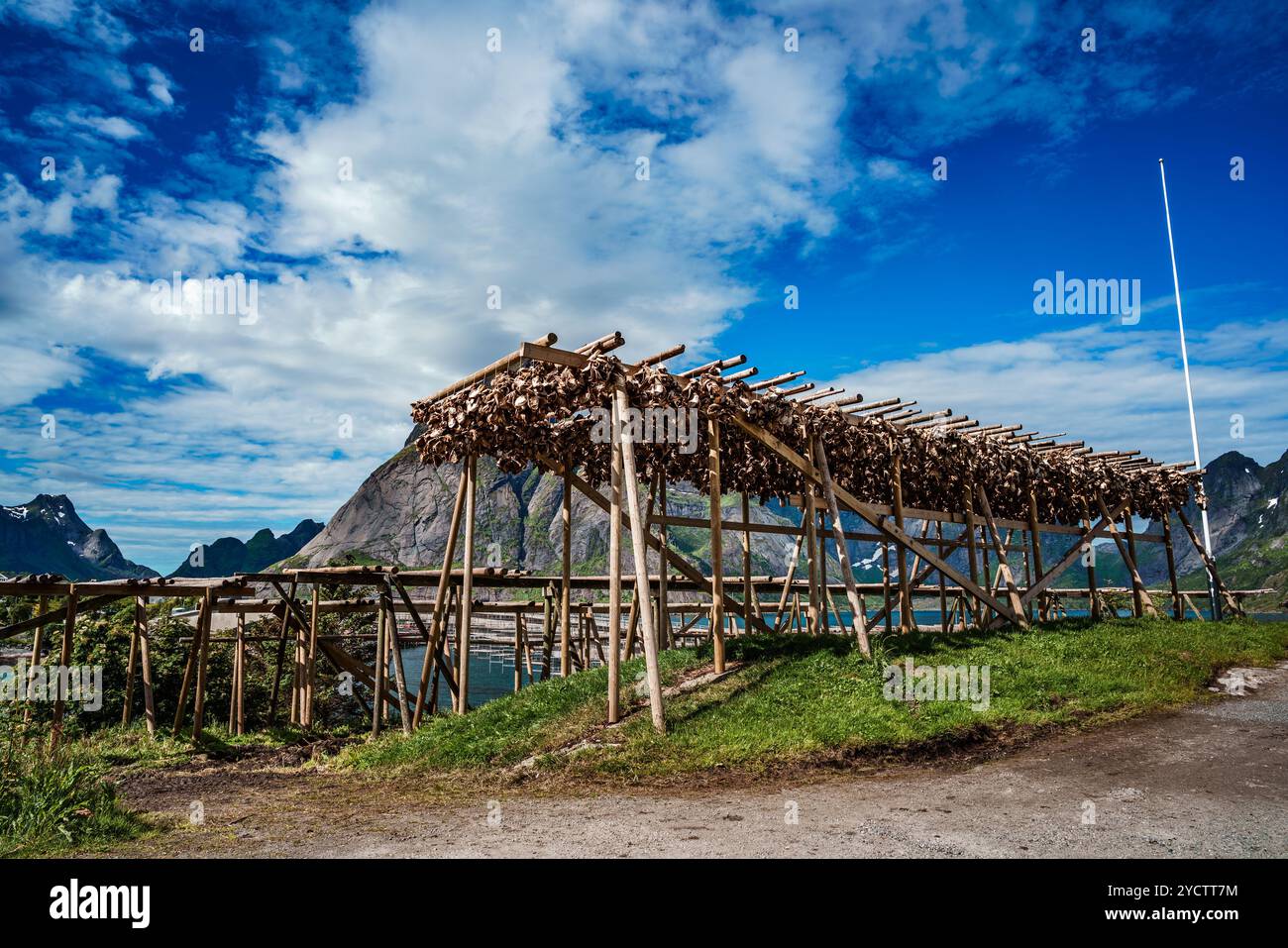 Fish heads drying on racks Stock Photo - Alamy