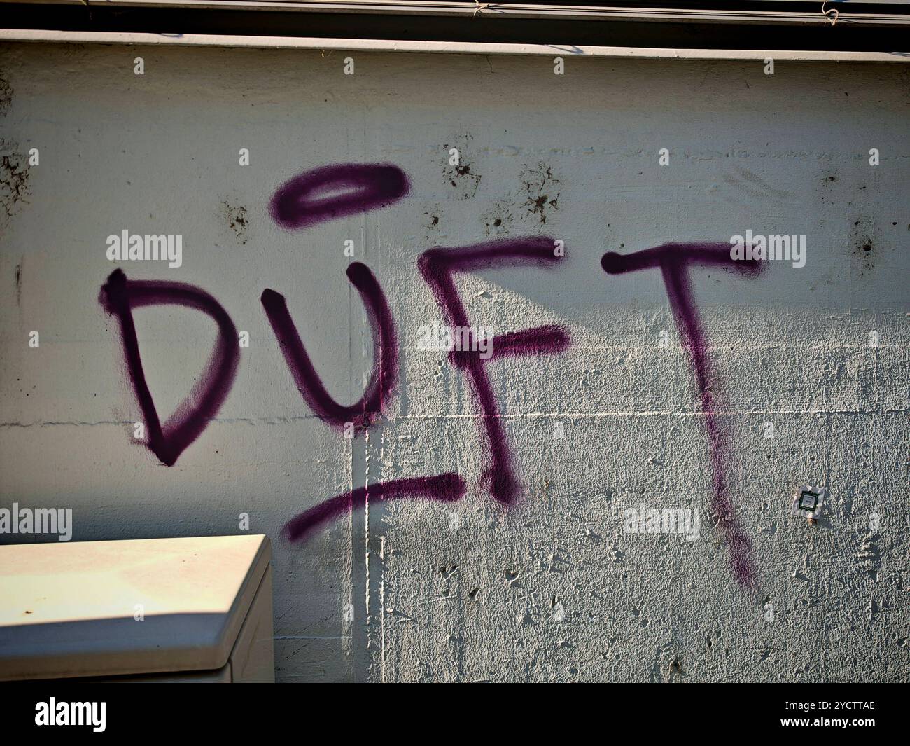 a person smelling with his nose, human perceiving smells and scents a ...