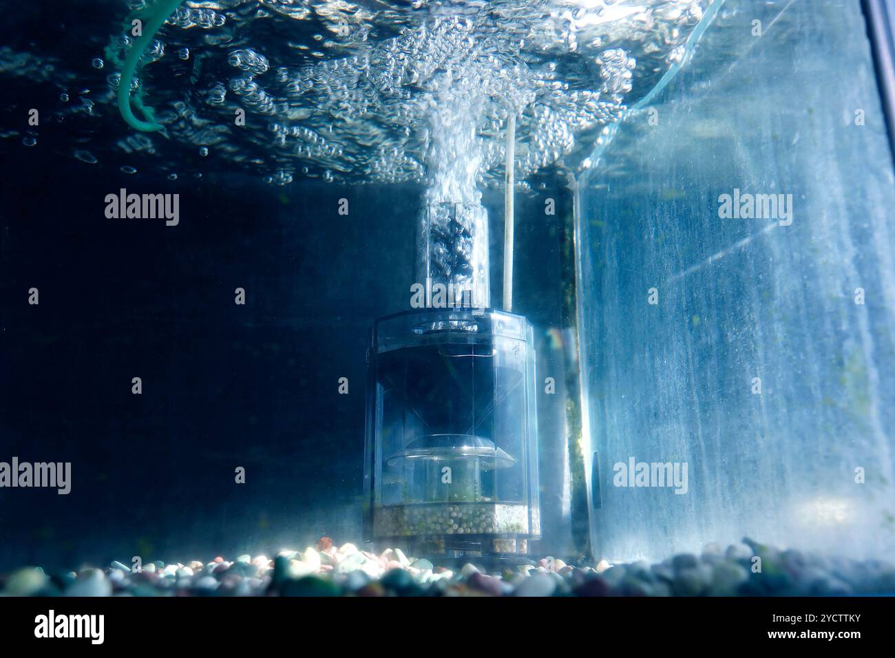 Bubbles in aquarium submersible filter Stock Photo - Alamy