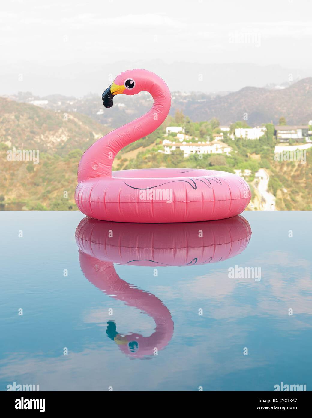 Flamingo Pool Float Toy with a Reflection in Water Stock Photo - Alamy