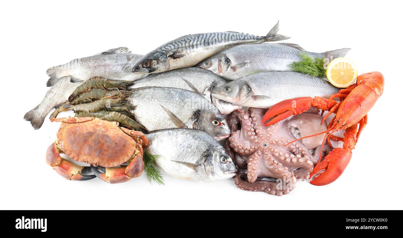 Fresh fish and different sea food isolated on white, top view Stock ...