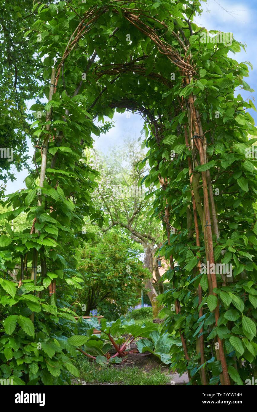 Arch of plants hi-res stock photography and images - Alamy