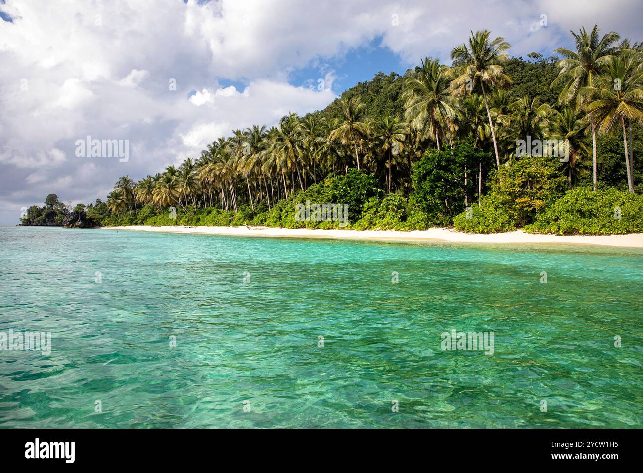 Dense jungle tropical island lush hi-res stock photography and images ...