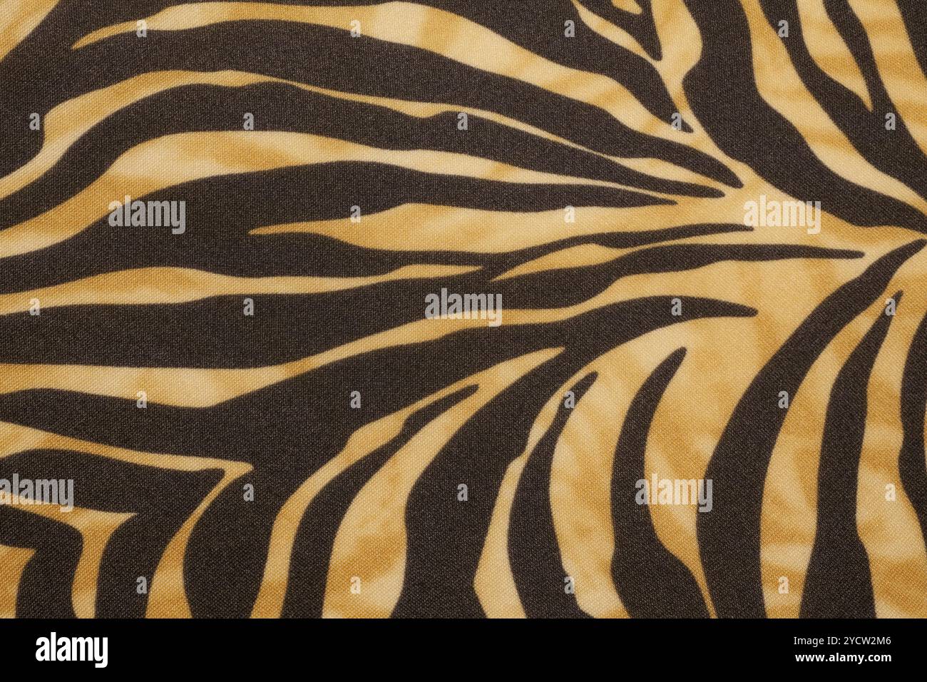 Yellow and black tiger hi-res stock photography and images - Alamy