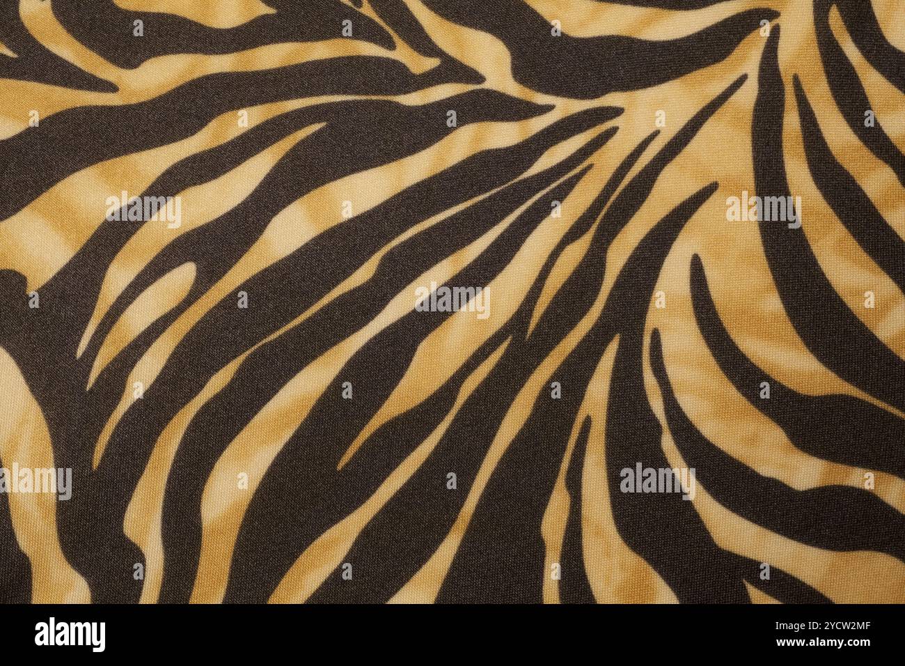 Tiger pattern hi-res stock photography and images - Alamy