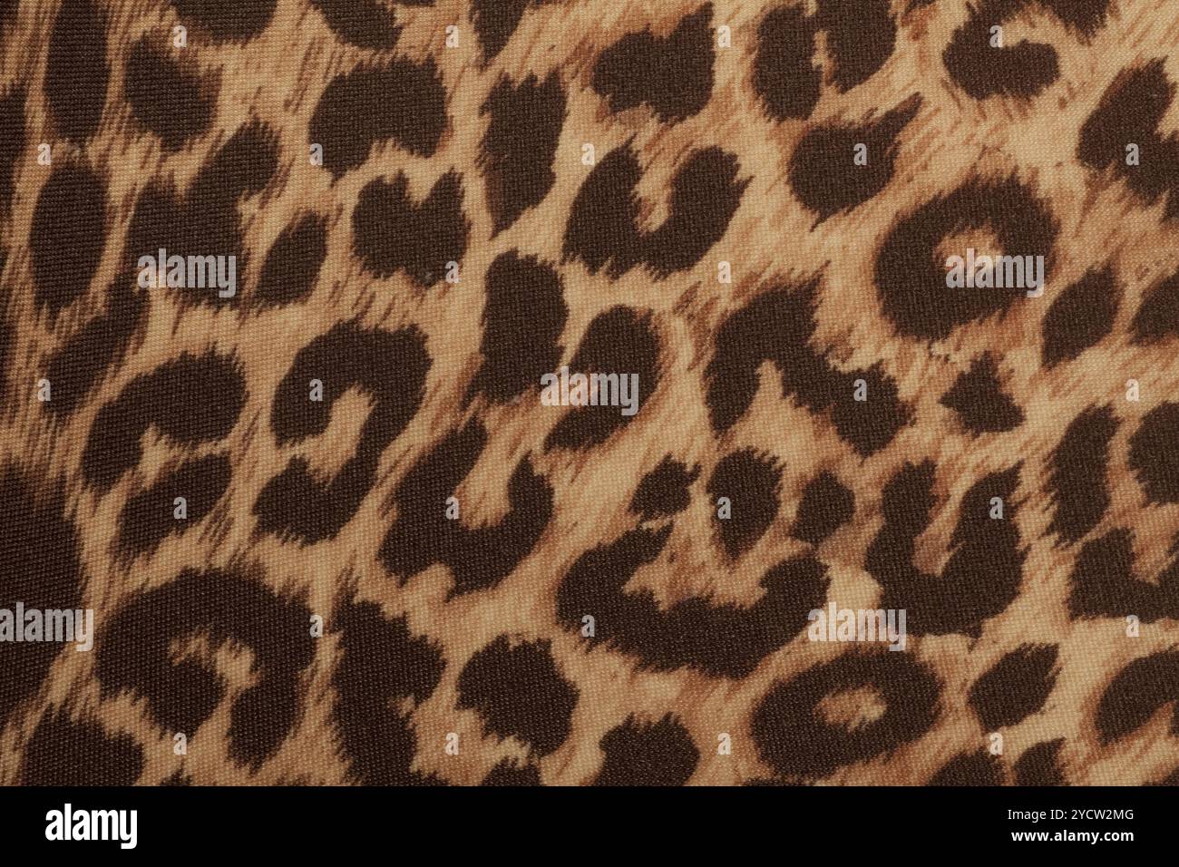 Leopard back hi-res stock photography and images - Alamy