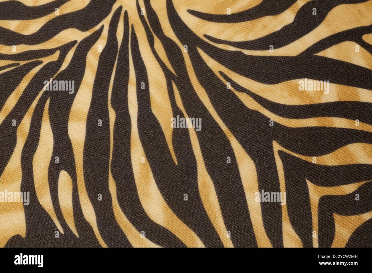Yellow and black tiger hi-res stock photography and images - Alamy