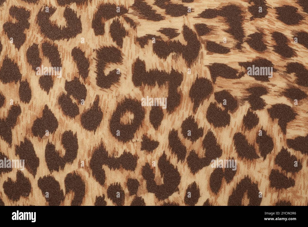 Leopard back hi-res stock photography and images - Alamy