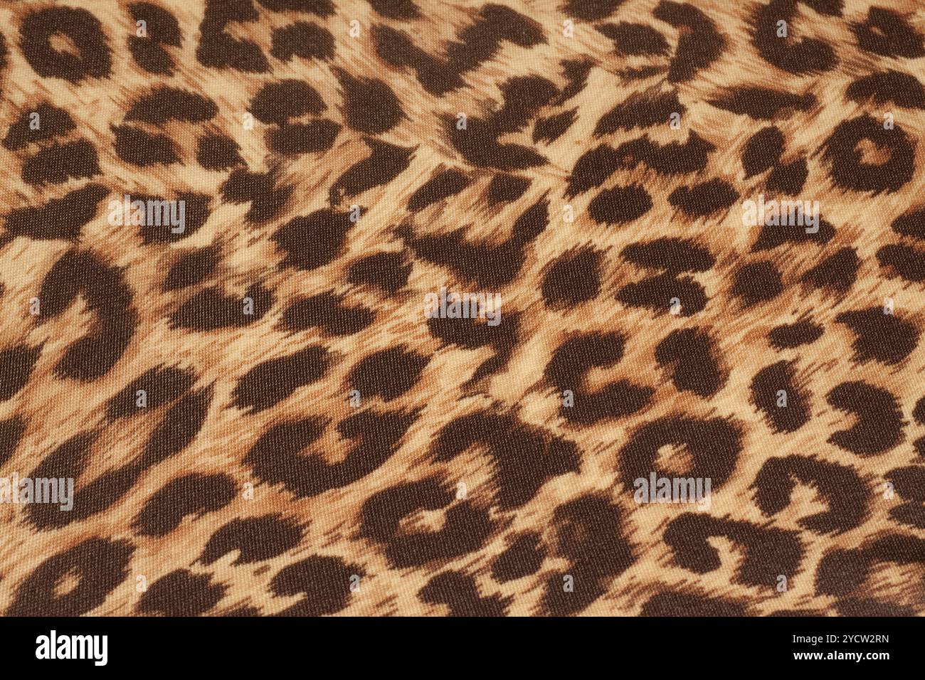 Leopard back hi-res stock photography and images - Alamy