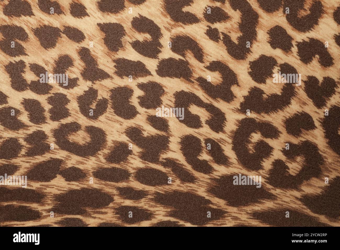 Leopard back hi-res stock photography and images - Alamy