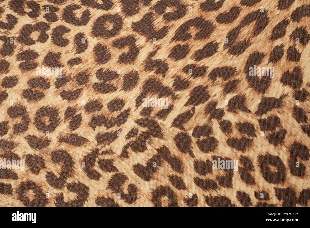 Leopard back hi-res stock photography and images - Alamy