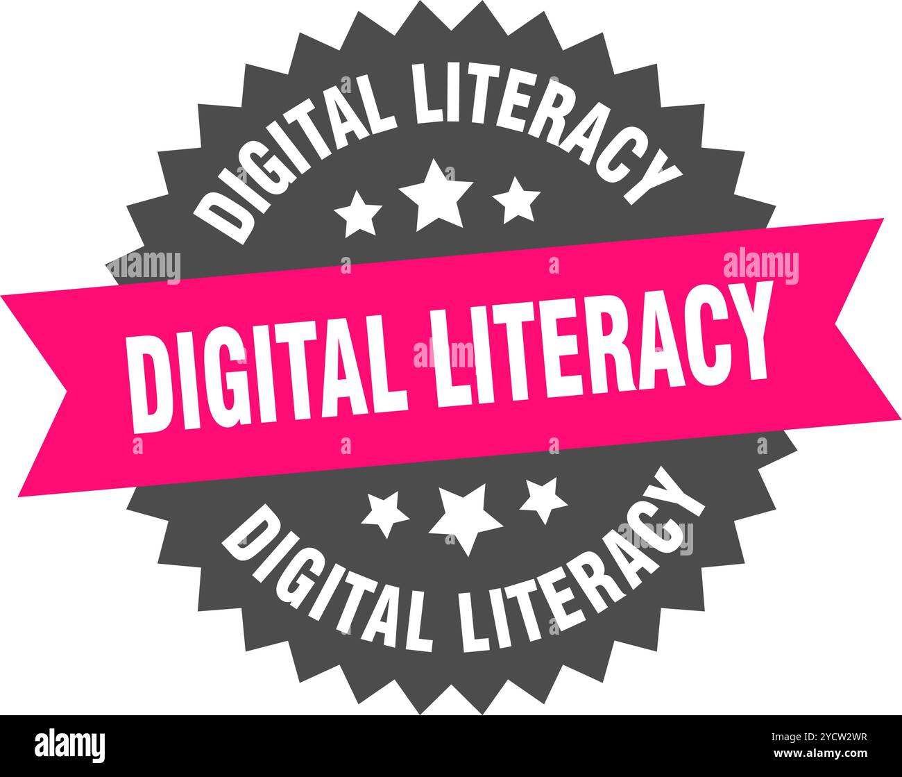 digital literacy round pink label isolated on transparent background ...