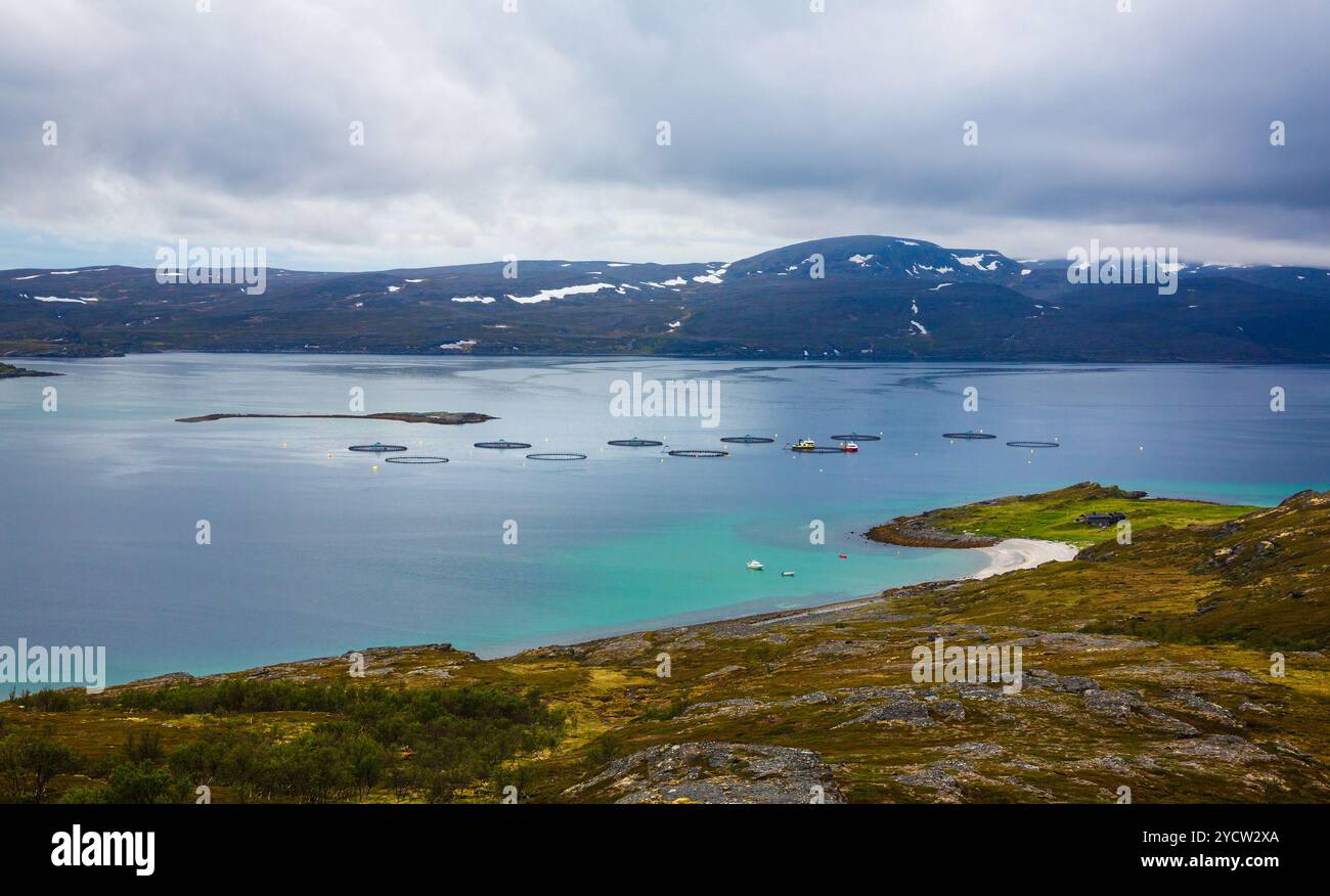 Farm salmon fishing Stock Photo - Alamy