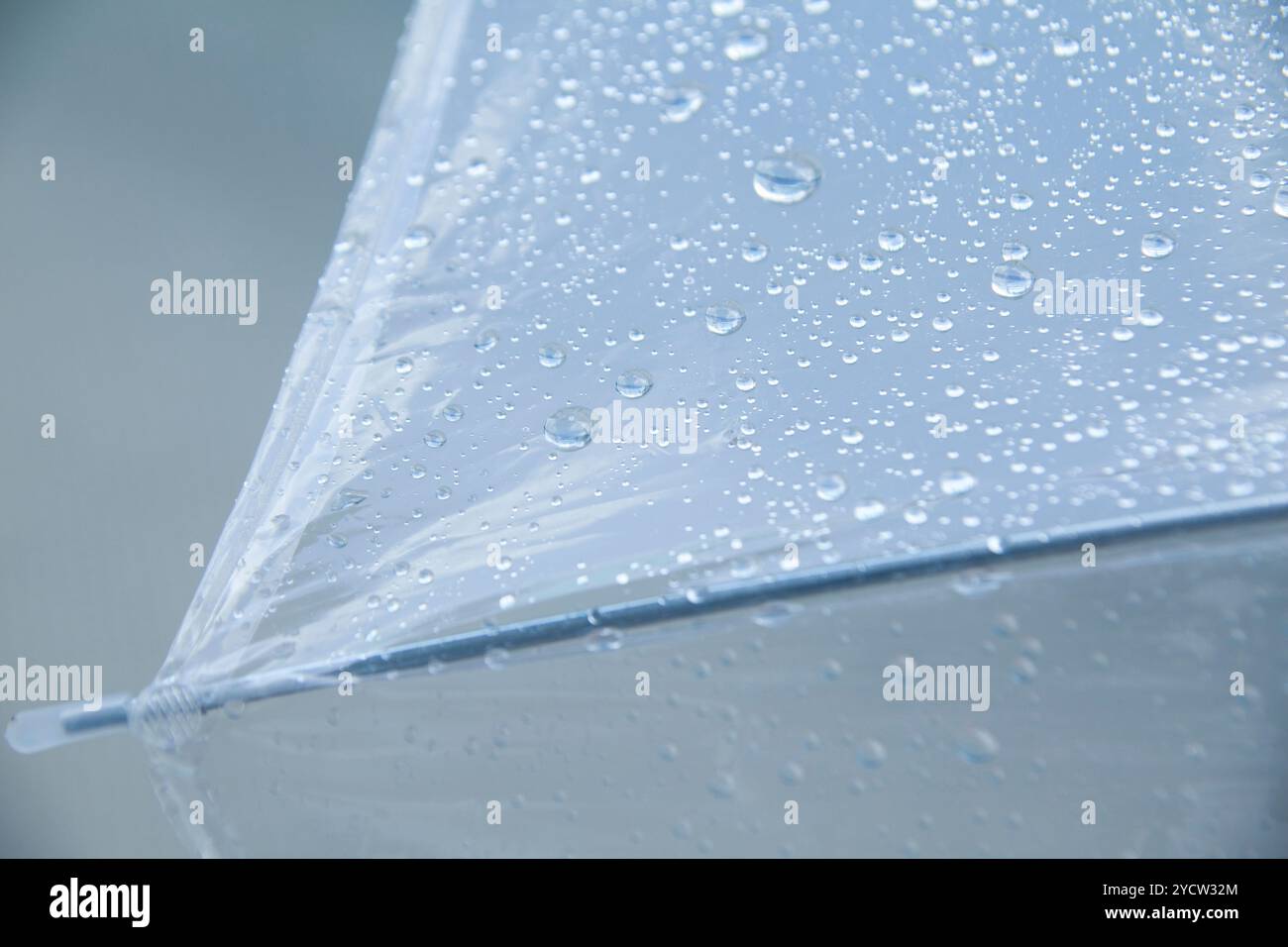Rain soaked plastic umbrella Stock Photo - Alamy