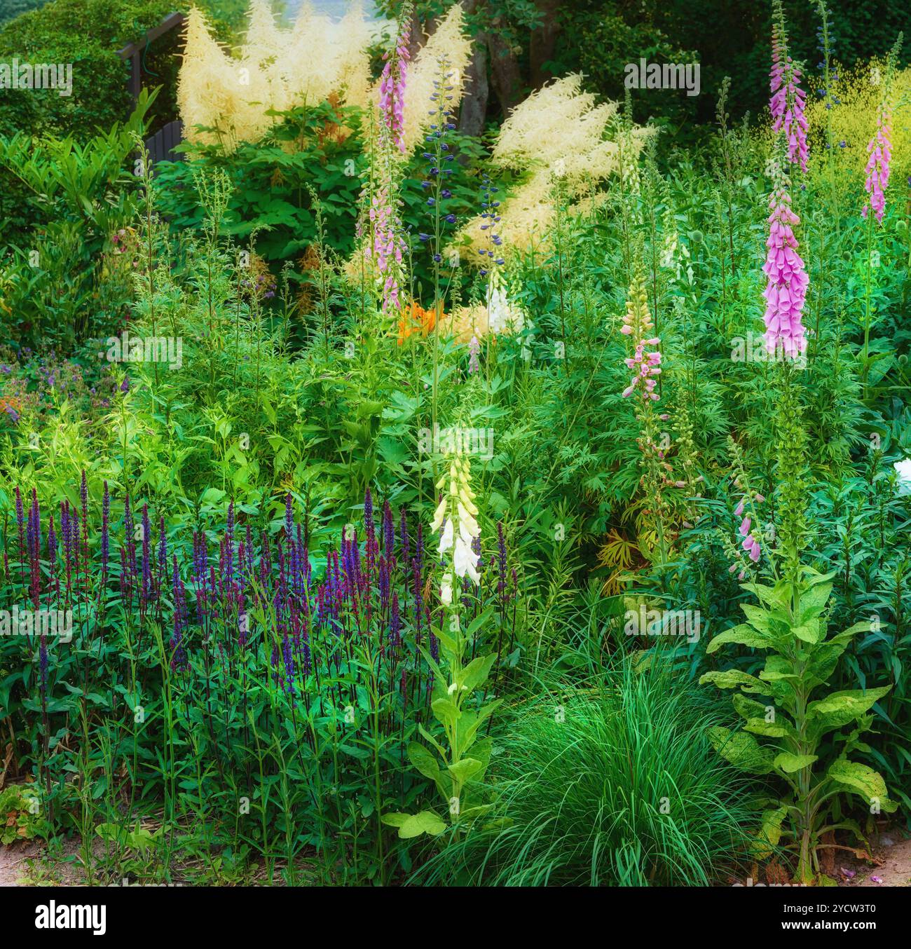 Garden, sustainability and nature with flowers in summer for eco ...