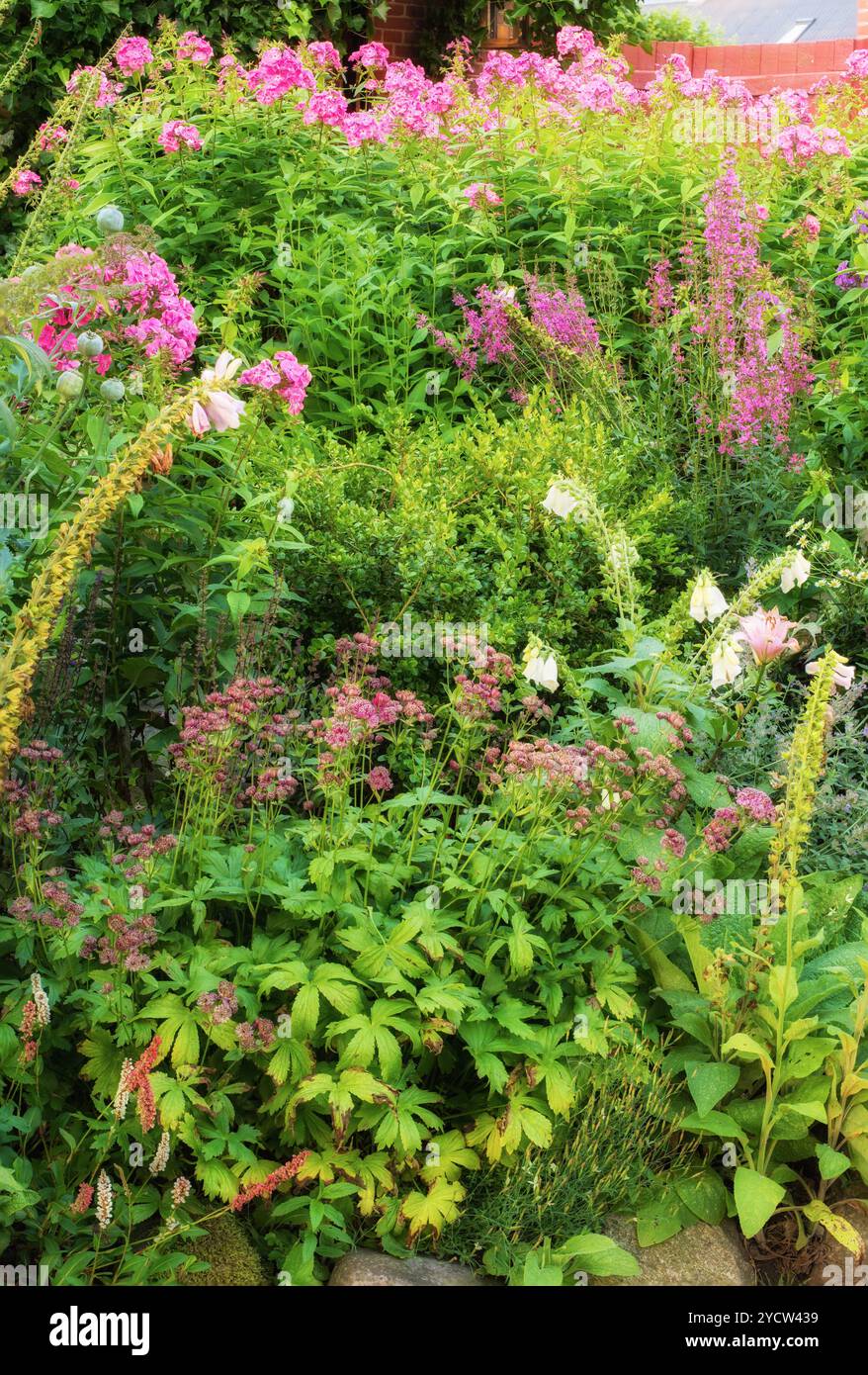 Field, flowers and outdoor nature with species, blossom and countryside ...