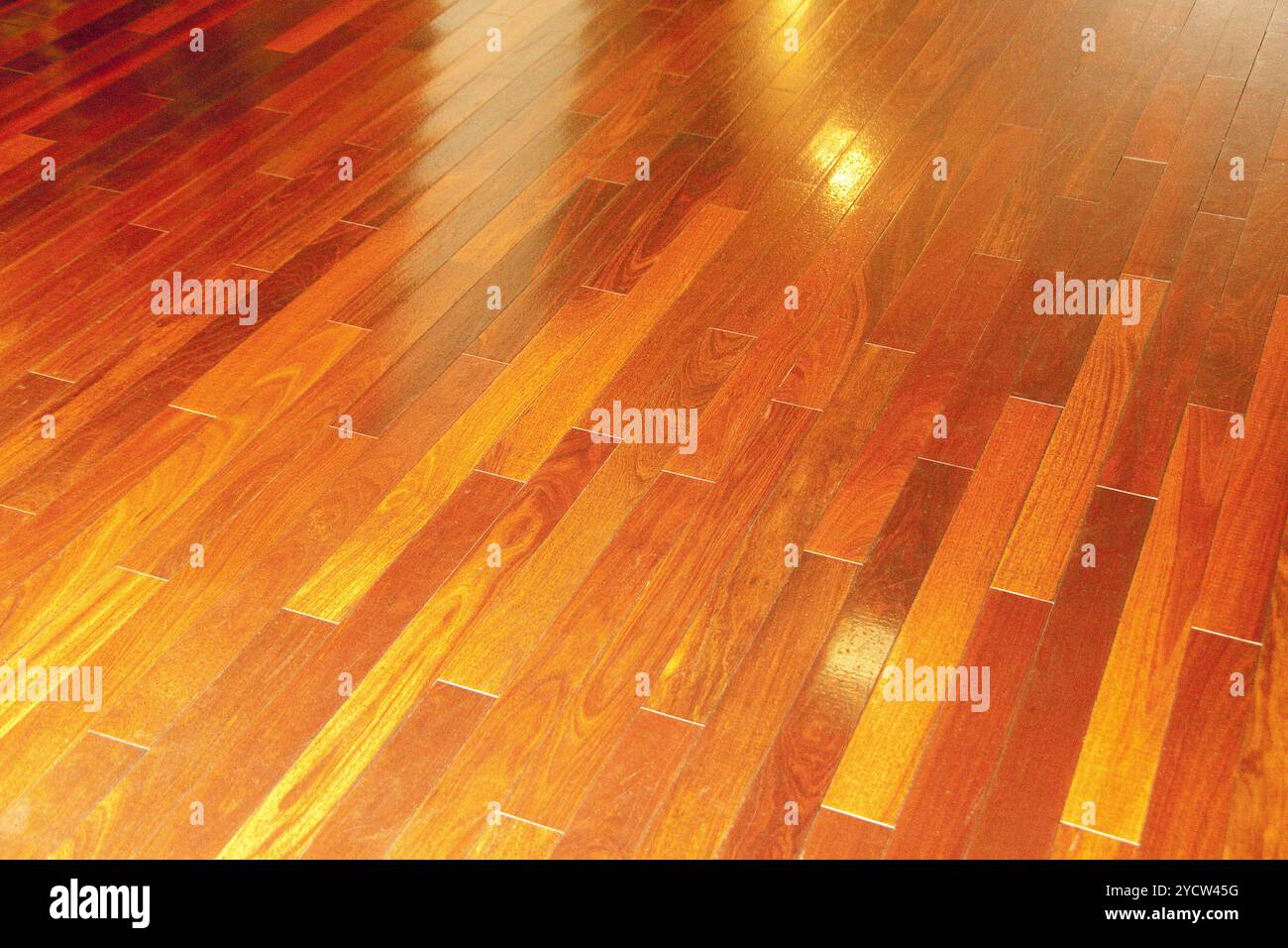 Flooring tree hi-res stock photography and images - Alamy