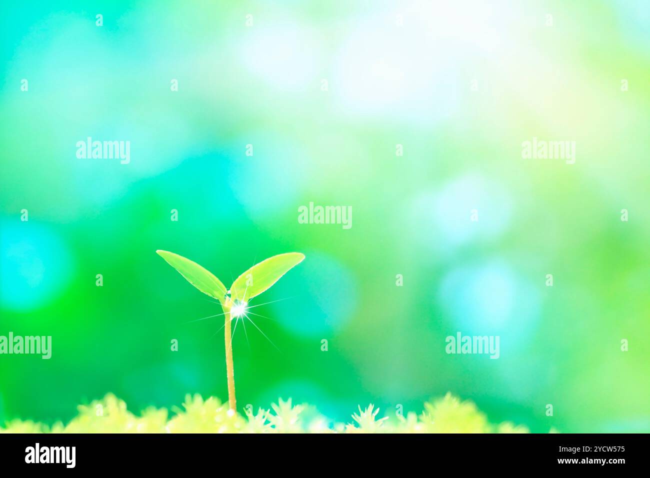 Gemini season hi-res stock photography and images - Alamy