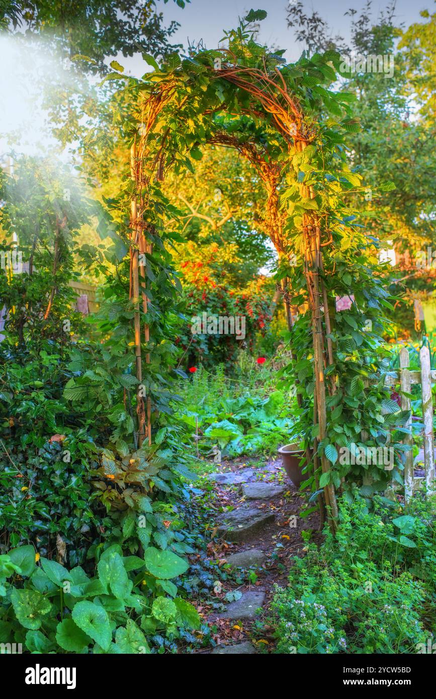Nature, garden and arch with path in morning for environment, ecosystem ...
