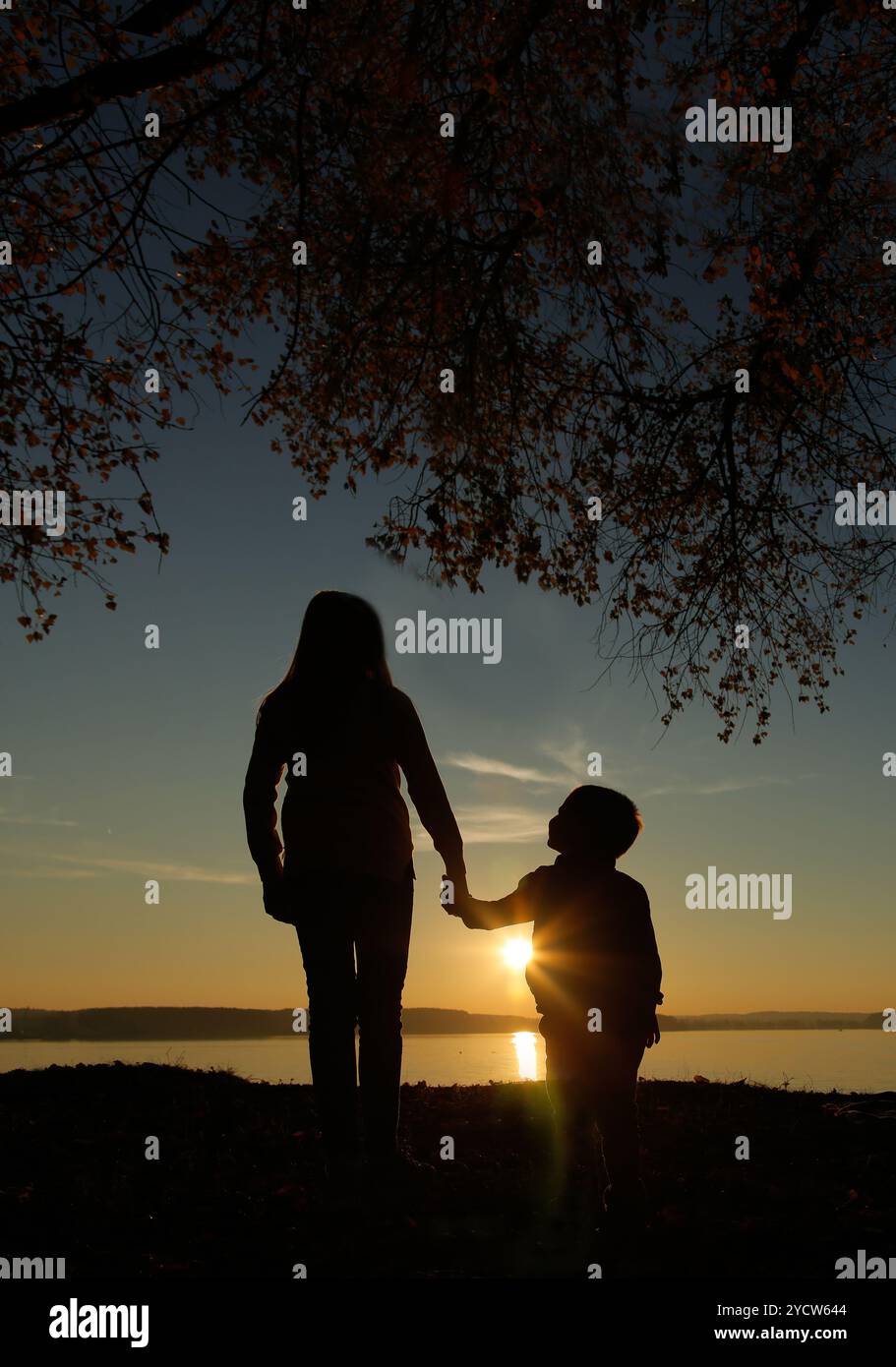 Boy touching tree hi-res stock photography and images - Alamy