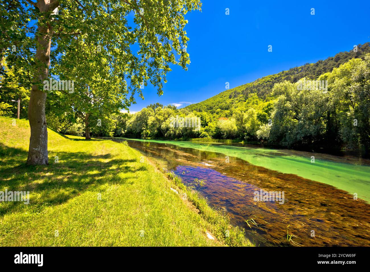 Idyllic park landscape hi-res stock photography and images - Alamy
