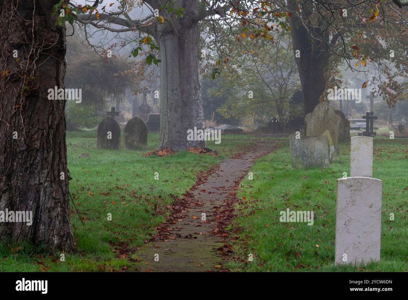 Grave gravestone graveyard pathway hi-res stock photography and images ...