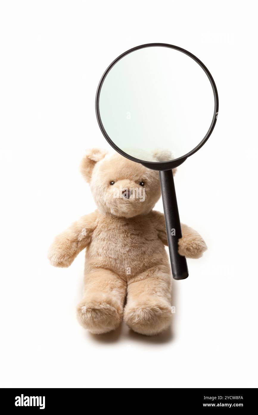 Bear looking Cut Out Stock Images & Pictures - Alamy
