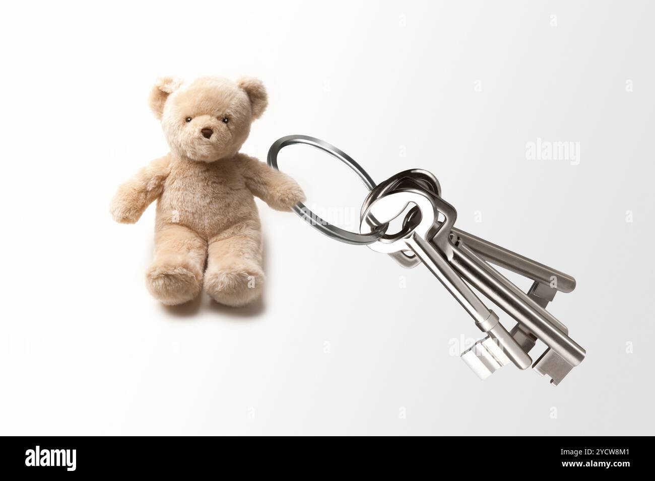 Bear management hi-res stock photography and images - Alamy