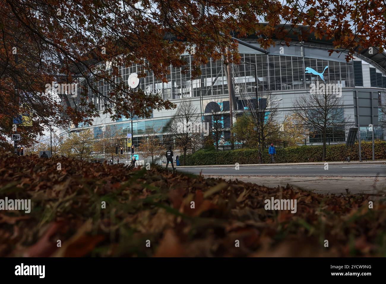 A general view of the Etihad Stadium through the autumnal leaves of ...