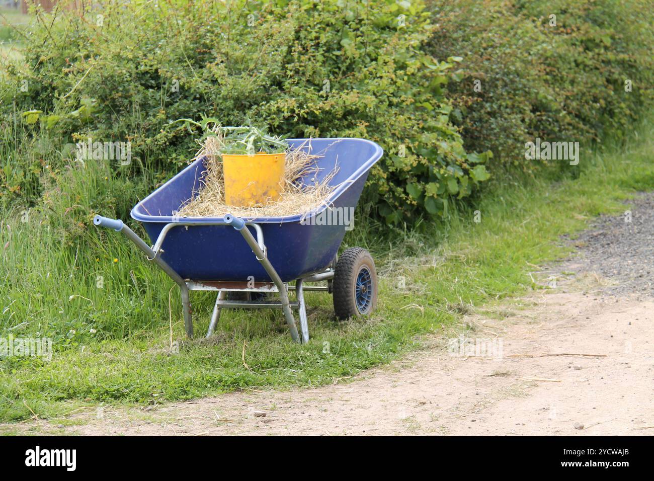 A Wheelbarrow with Straw and Feed for a Horse Stable Stock Photo - Alamy