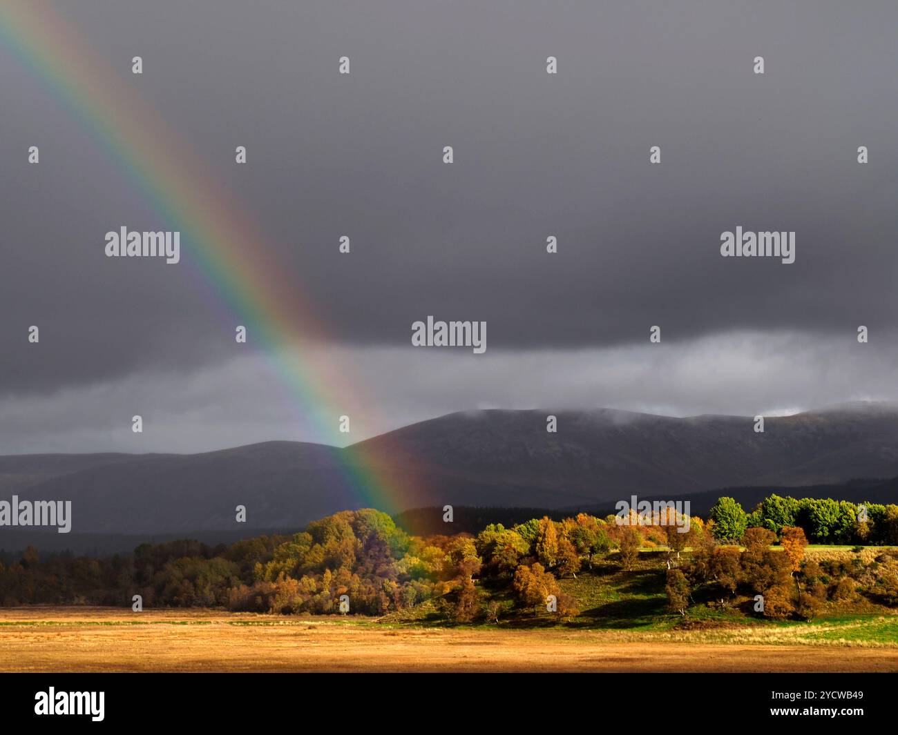 Insh marshes kingussie hi-res stock photography and images - Alamy